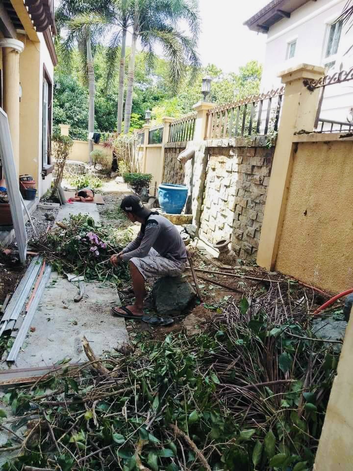 Work 149 - Unbeleafable