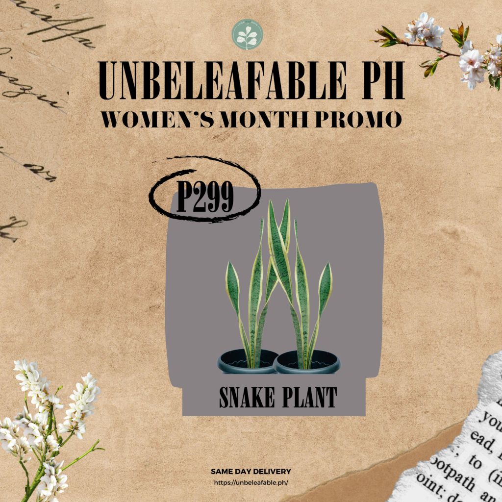 Promos - Unbeleafable