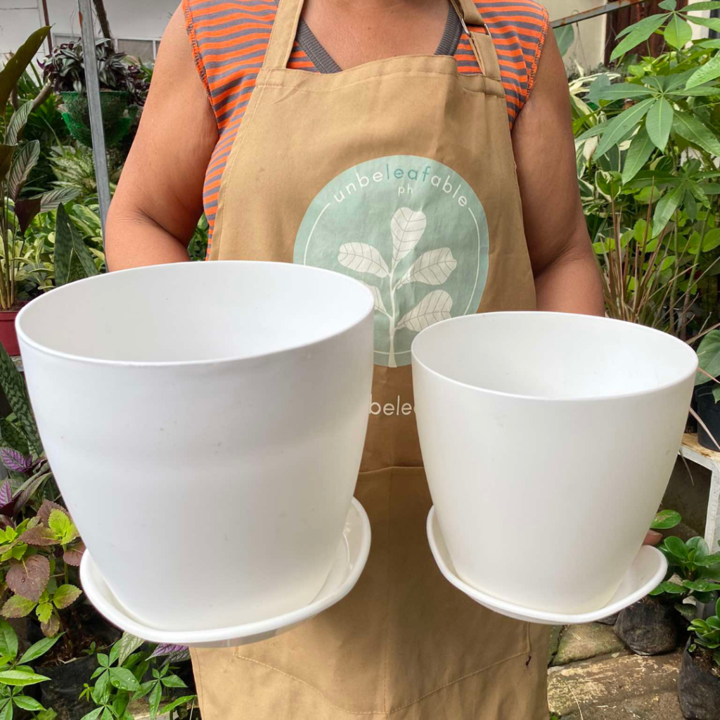 White Premium Pot with Catchplate - Unbeleafable
